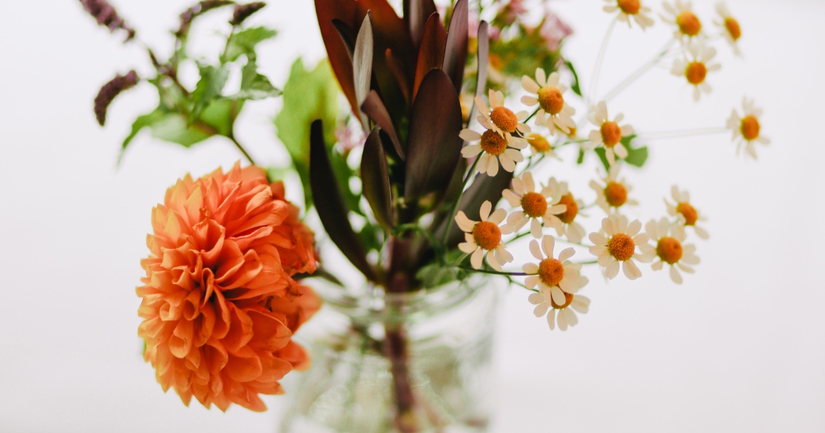 Lilit u natalu | easy life