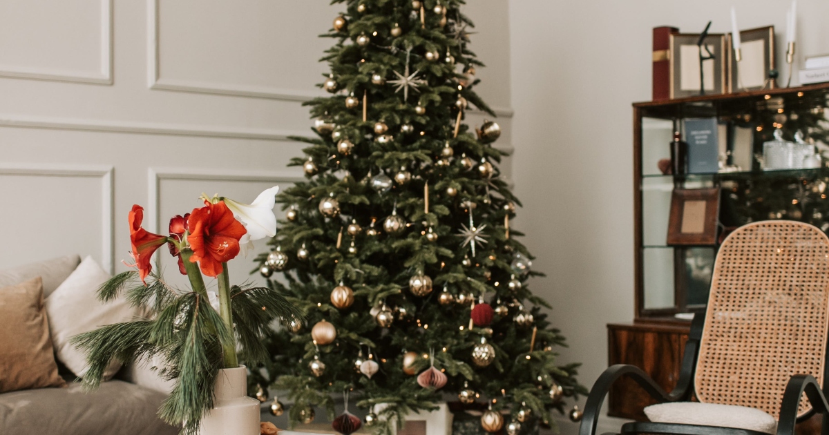 Feng shui pravila za novogodišnje dekorisanje doma | easy life